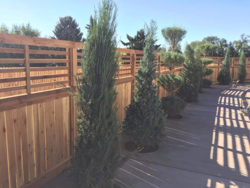 Custom Fences – Elevate Fencing, LLC